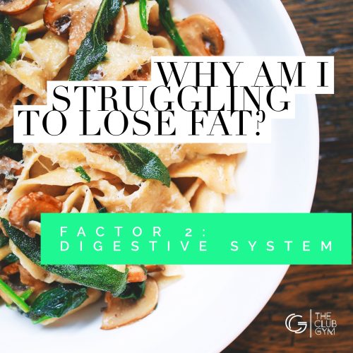 Why am I struggling to lose fat? Part 2: Digestive System